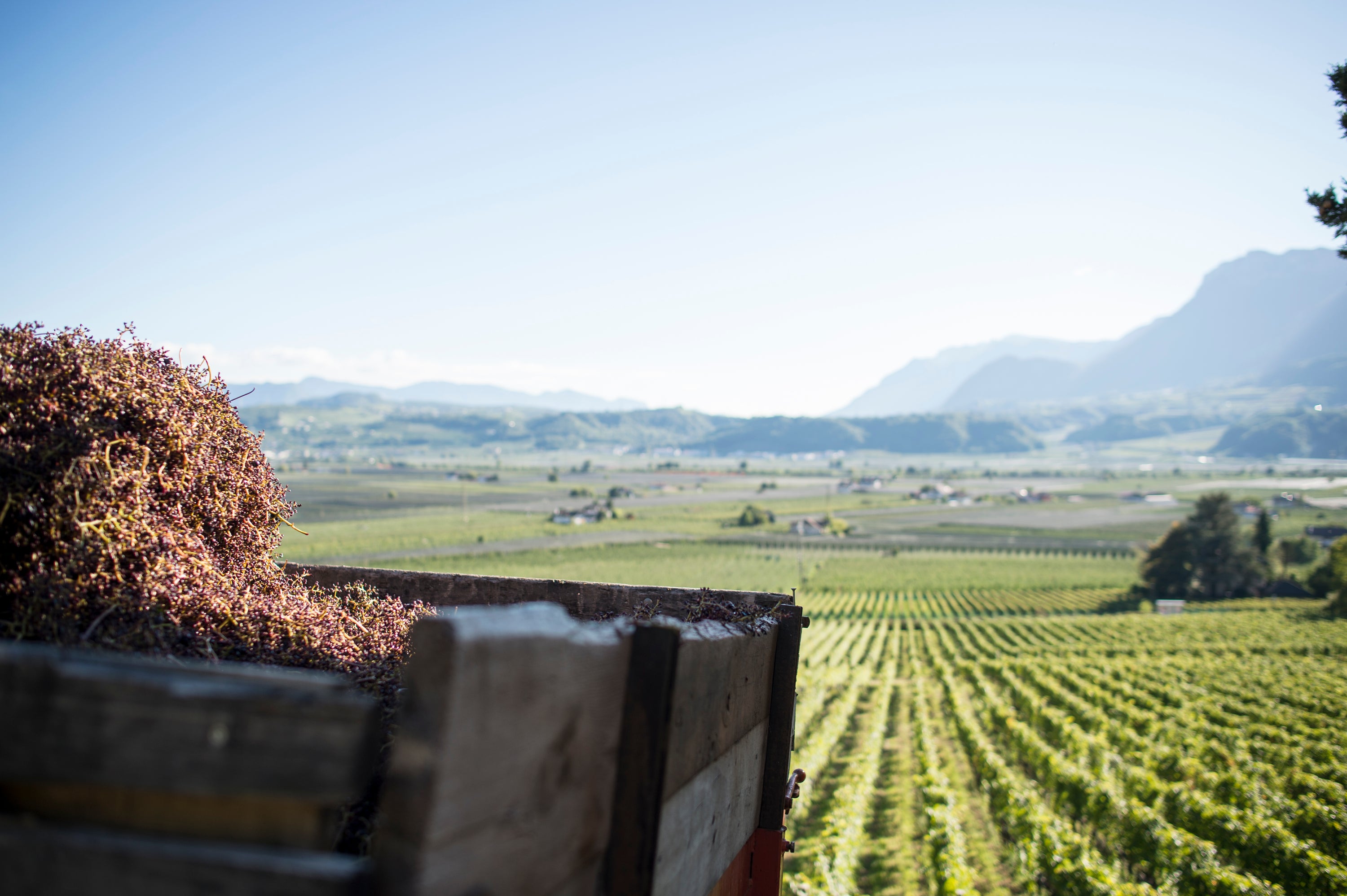 Das Weingut, die Lagen, die Menschen – Weingut Kornell